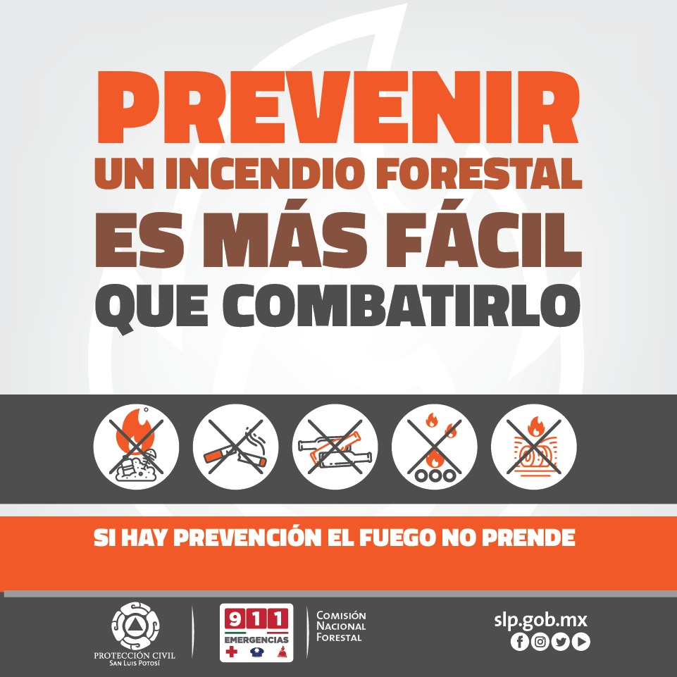 PC EMITE RECOMENDACIONES PARA EVITAR INCENDIOS FORESTALES – En Primera San Luis- Noticias
